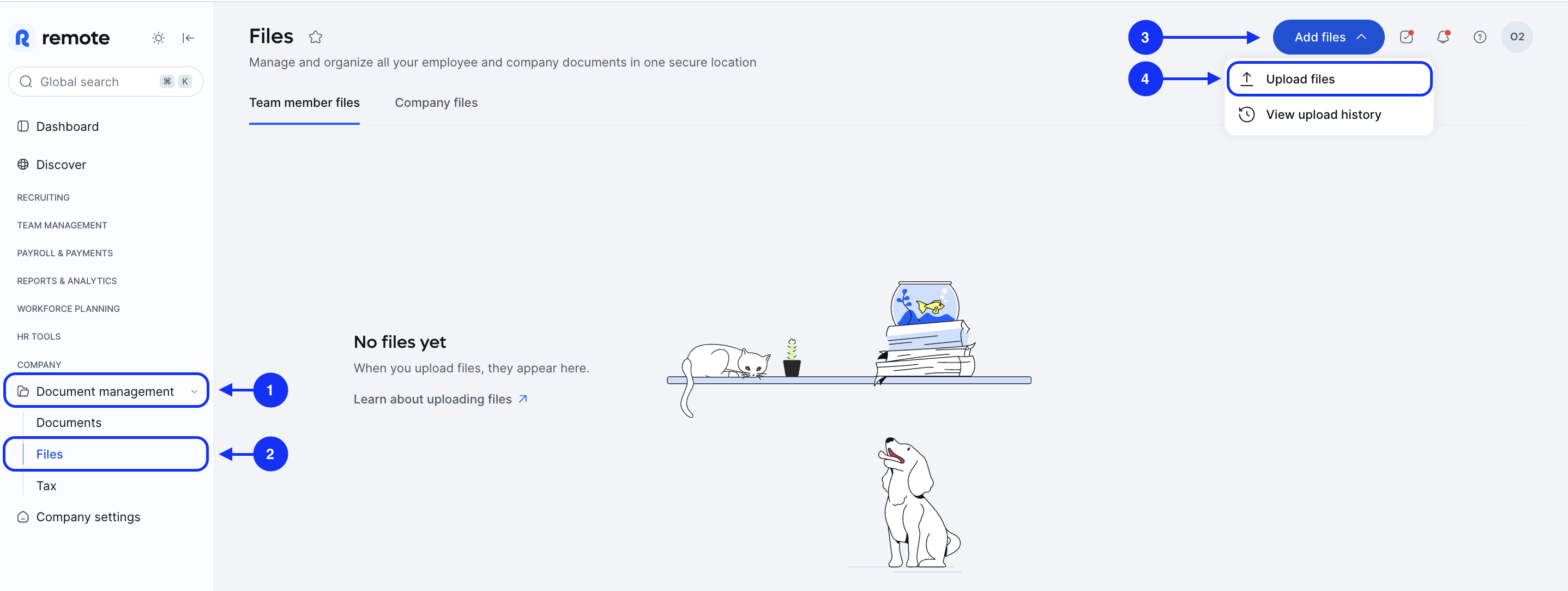 How to upload multiple files in bulk to Remote – Remote